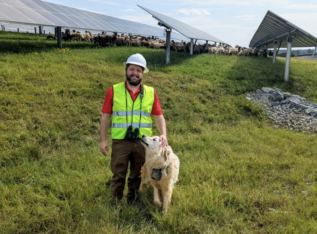 A Visit to the Crystal Hill Solar Grazing Site – Conservatives for ...
